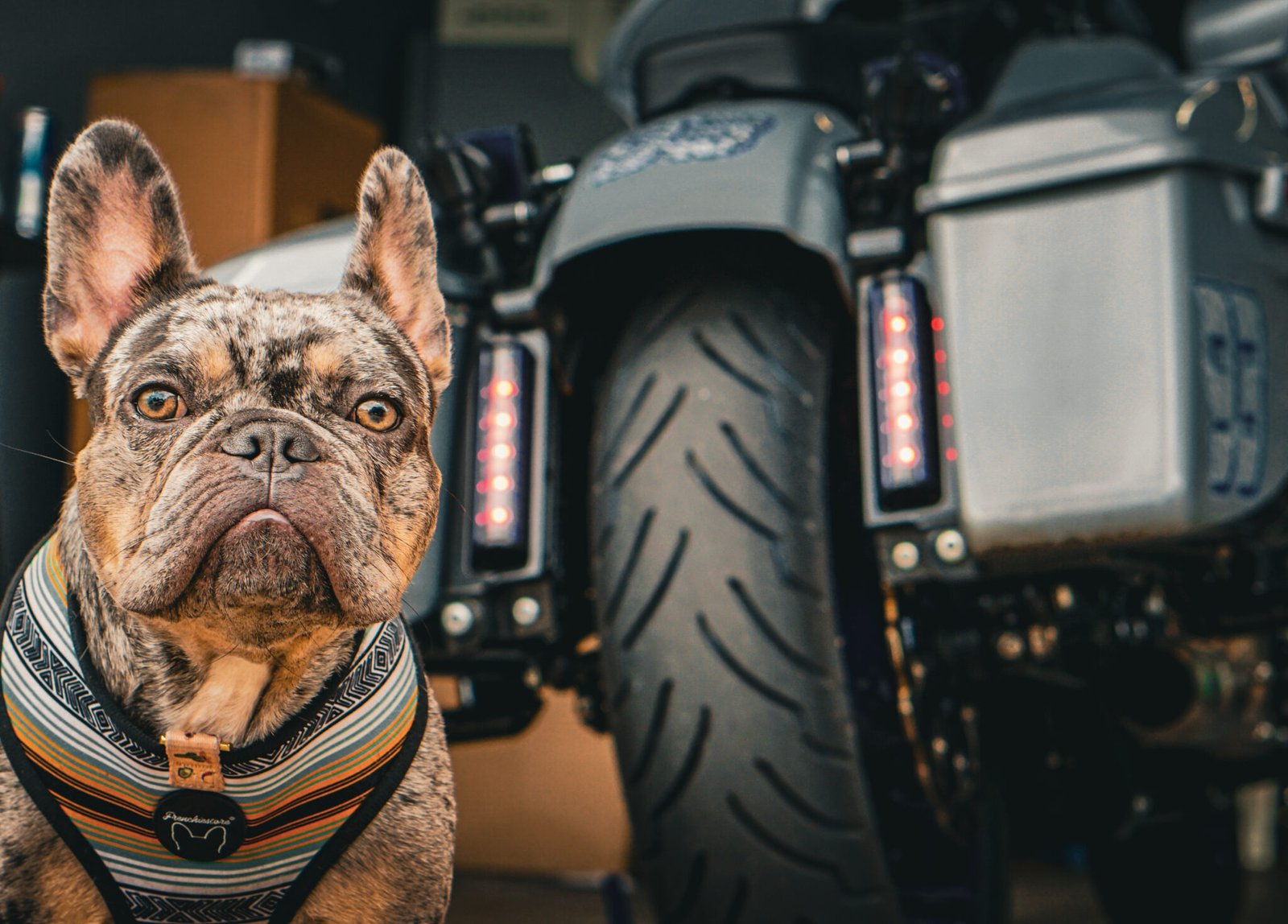 2016-2024 Bagger- Baja Designs RTL-M Tail Light – L&S